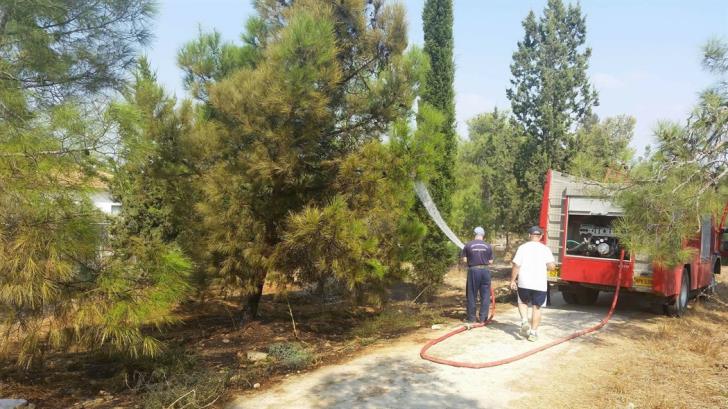 Πολίτες περιφρουρούν το Πάρκο Ακαδημίας | Philenews