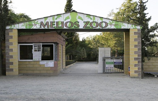 Melios Zoo: Συλλογή υπογραφών προς παραίτηση Κουγιάλη | Philenews