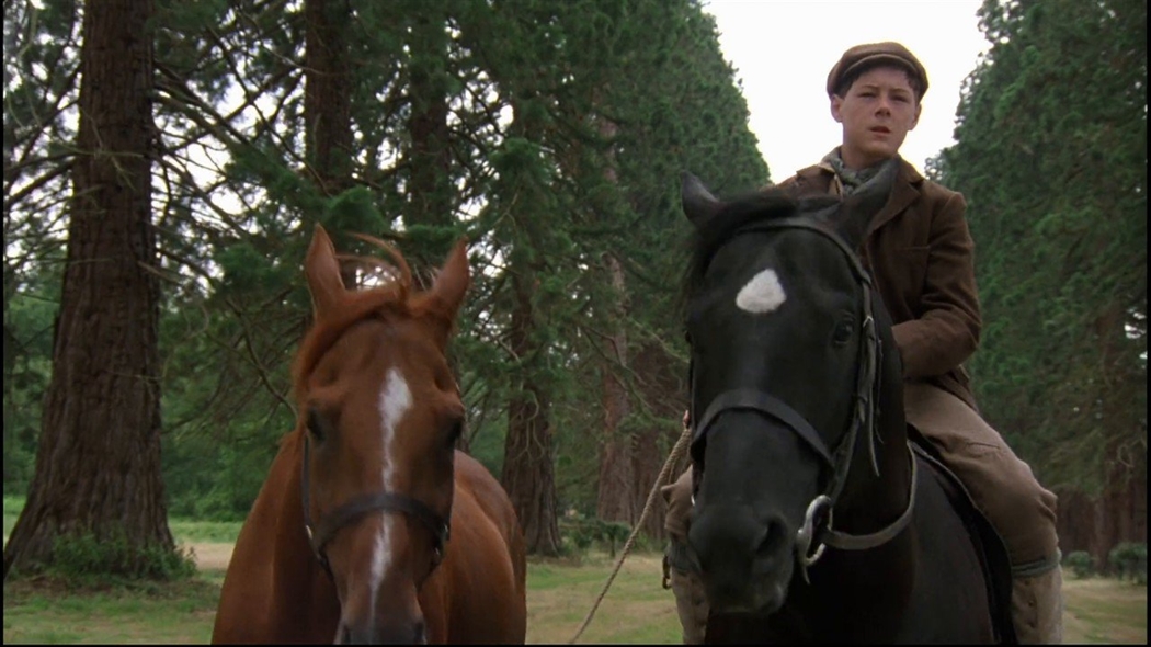 Black Beauty | Philenews