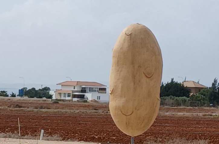 €15.000 για το Big Potato Σπούντα που έγινε viral | Philenews