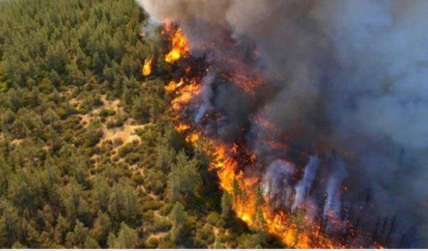 Μαυρίλα… στο πέρασμα των πυρκαγιών | Philenews