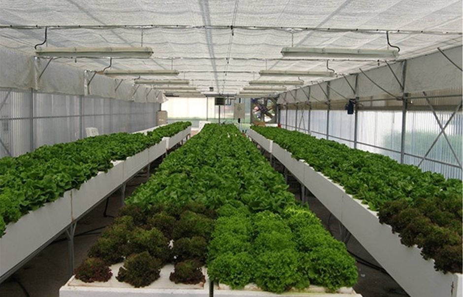 Γεωπονική Σχολή στην Πάφο αποφάσισε το υπουργείο Παιδείας | Philenews