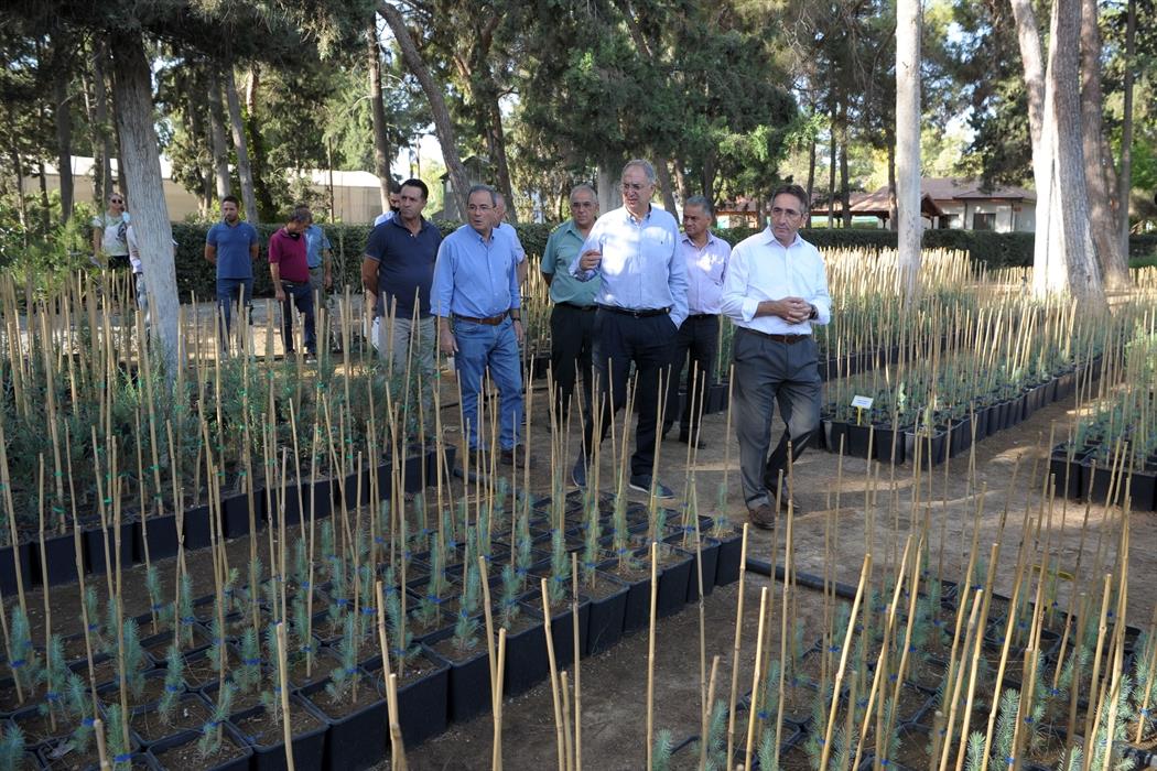 Τα φυτώρια του Τμήματος Δασών κατά της κλιματικής αλλαγής | Philenews