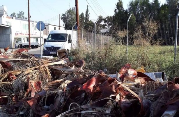 Σκουπιδότοποι οι γειτονιές της Έγκωμης | Philenews