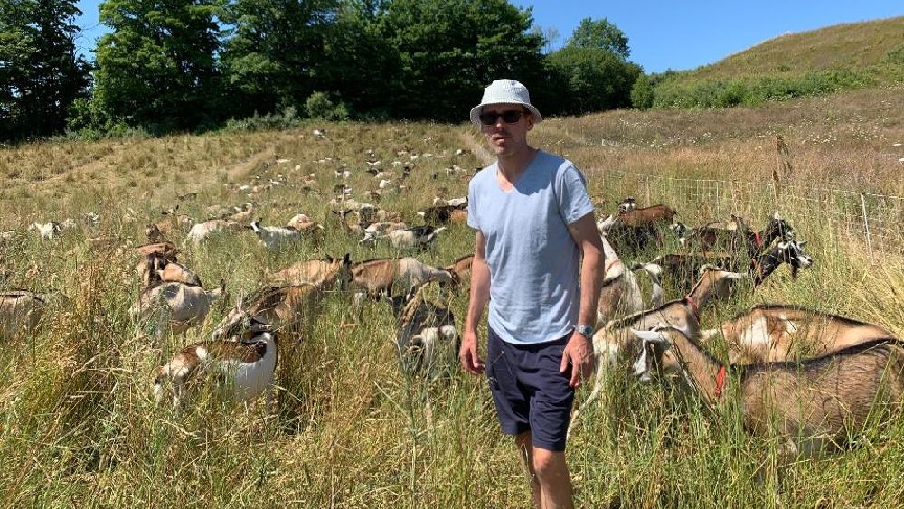 Ο κτηνοτρόφος που πόνταρε στην "τέλεια καταστροφή" | Philenews