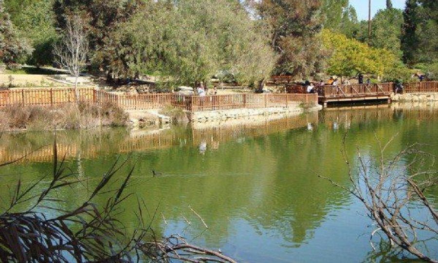 Κηλίδα πετρελαίου στη λίμνη του πάρκου Αγίου Γεωργίου Αθαλάσσας | Philenews