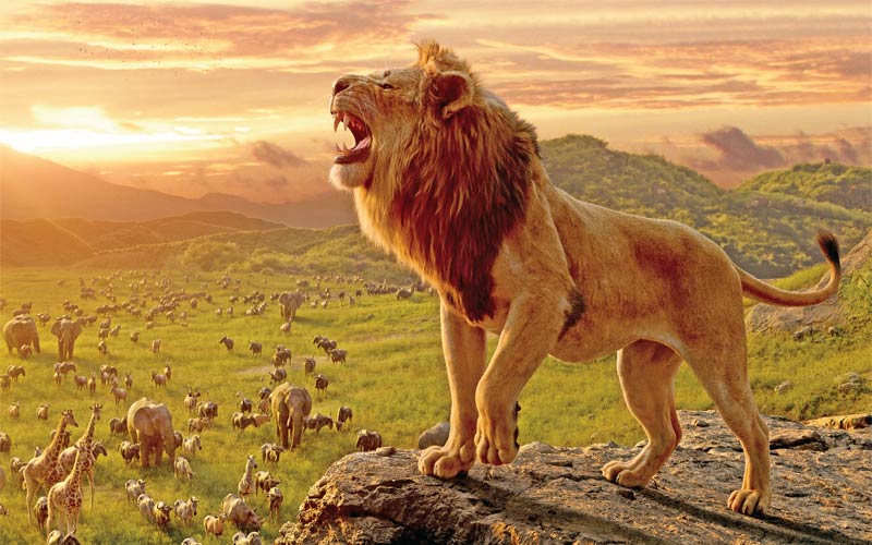 The Lion King | Philenews