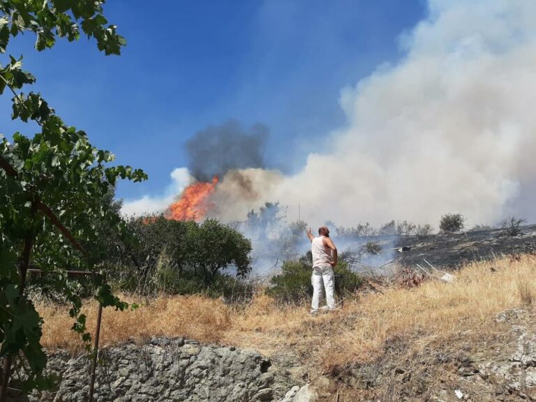Βίντεο ντοκουμέντο για την πυρκαγιά στον Αρακαπά | Philenews
