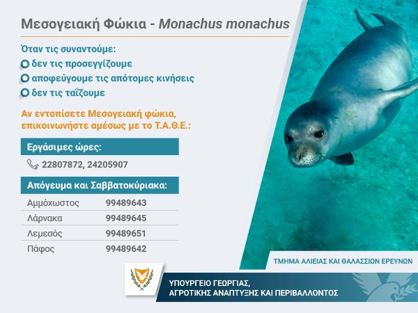 Νέο σποτ για τη μεσογειακή φώκια monachus monachus | Philenews
