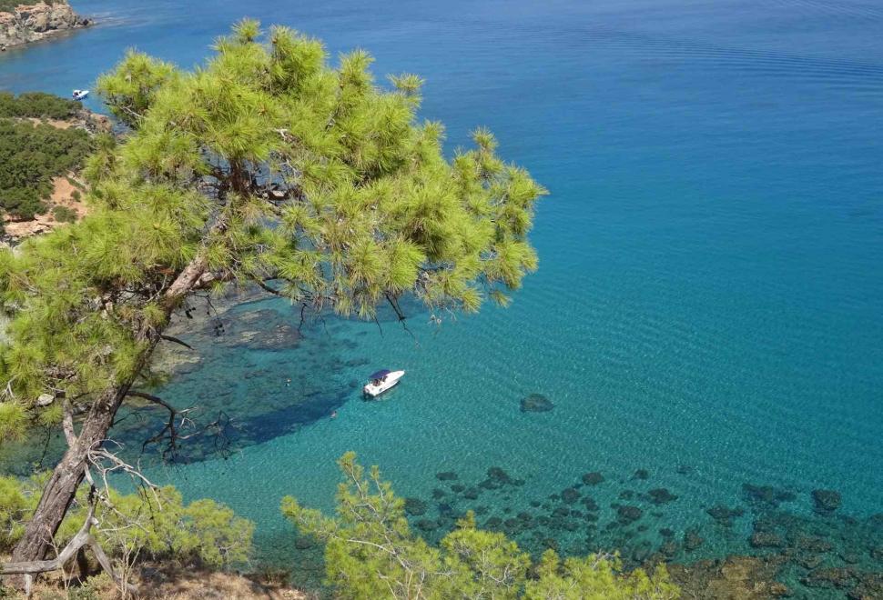 Φέρνουν «σοφούς» για τον Ακάμα | Philenews