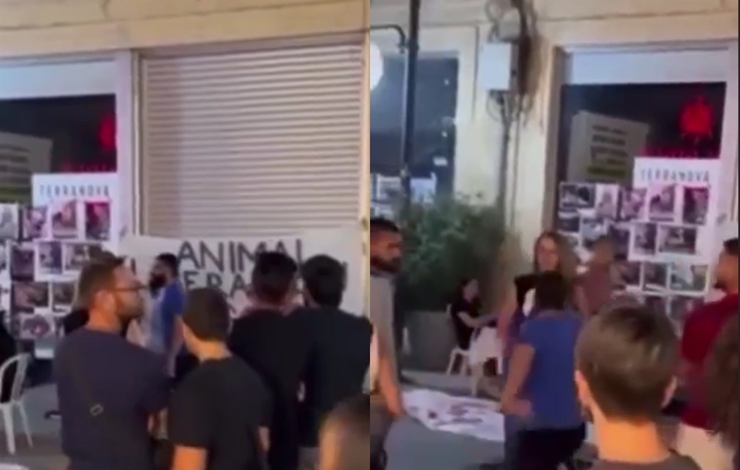 Kόμμα για τα Ζώα: Ζητεί παρέμβαση Αστυνομίας για επίθεση κατά ...