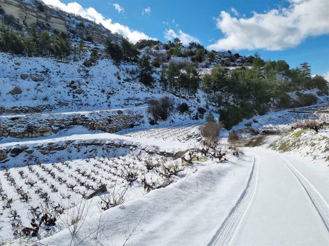 Λευκό τοπίο στην Παναγιά της Πάφου | Philenews