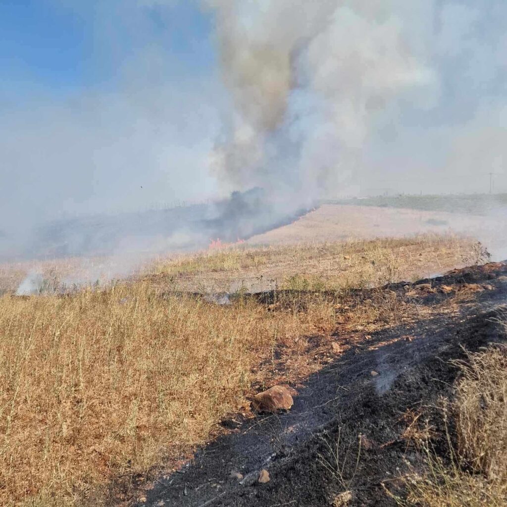 Περιστερώνα: Πυρκαγιά κοντά σε πάρκο φωτοβολταϊκών – Στη μάχη και ...