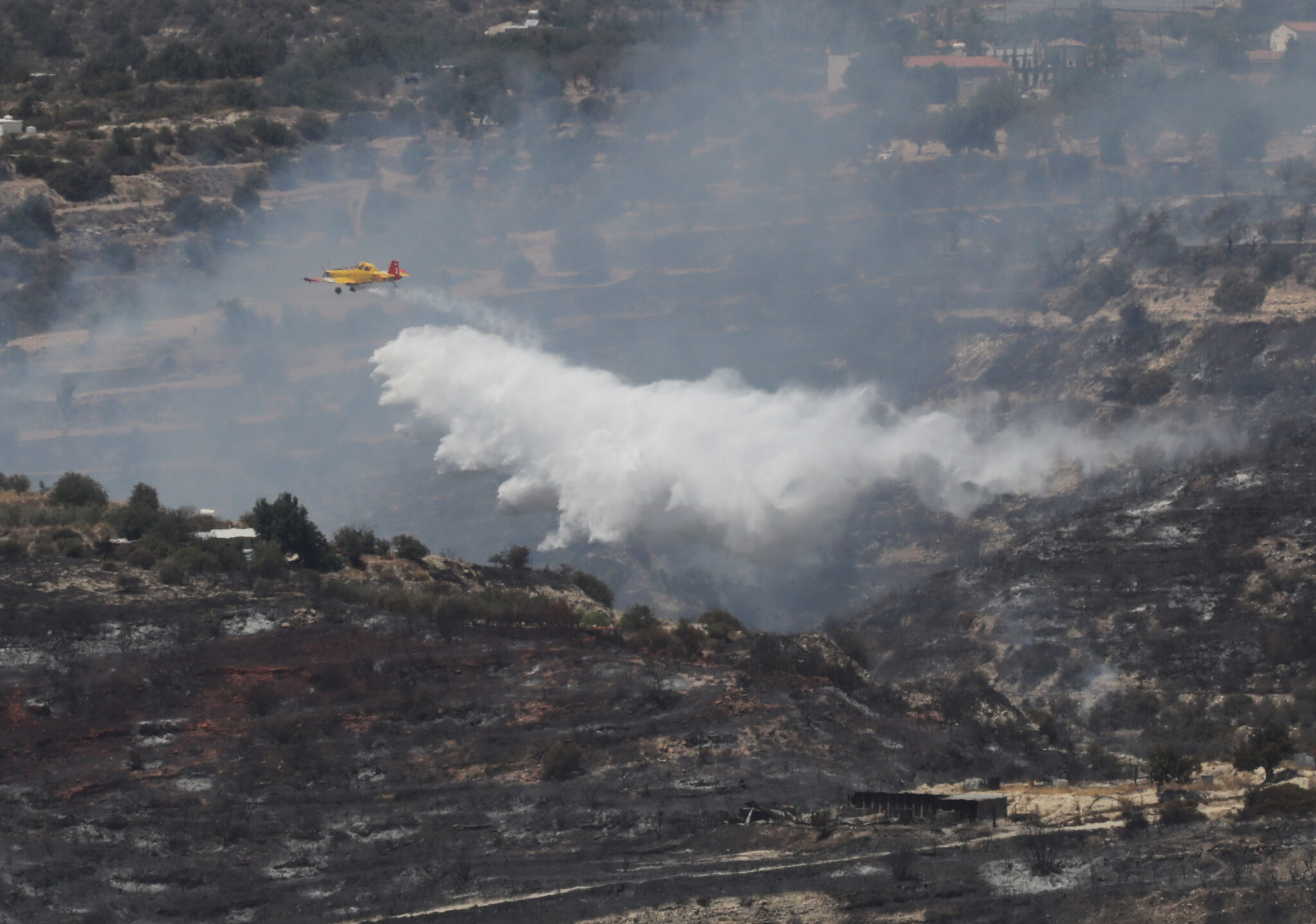 Αντιμέτωπο με 70 πυρκαγιές τον Ιούλιο το Τμήμα Δασών | Philenews