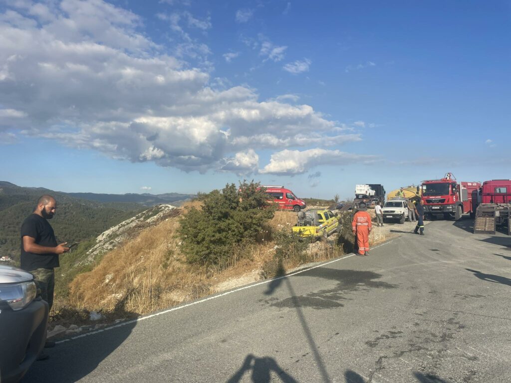 Βελτιωμένη η εικόνα της πυρκαγιάς από το μέτωπο στο Κοιλάνι (εικόνες ...