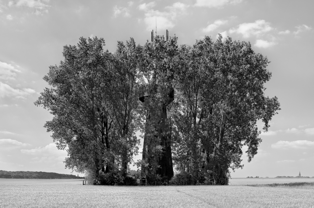 Έκθεση φωτογραφίας στη Λεμεσό με θέμα τους υδατόπυργους | Philenews