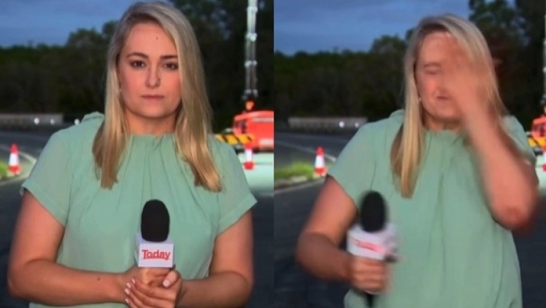 Δημοσιογράφος δέχτηκε επίθεση από κουνούπια και άρχισε να βαράει τον ...