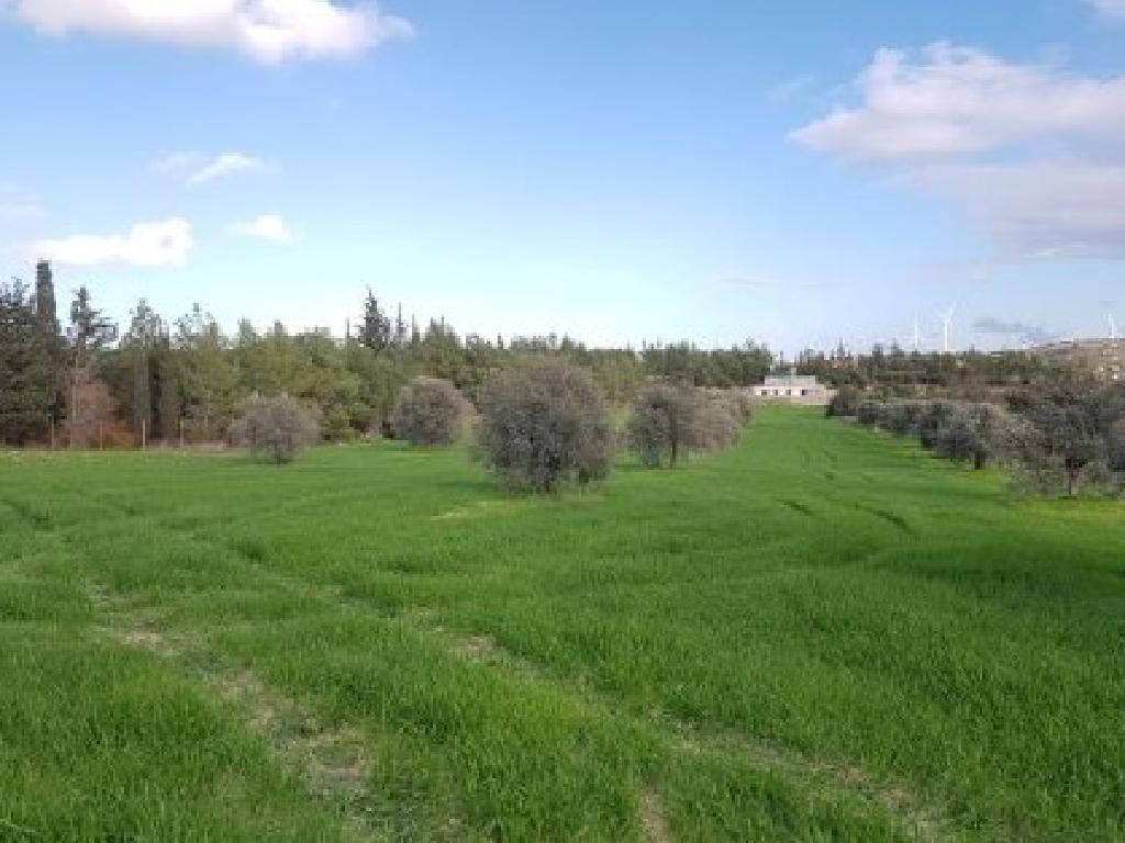 Σκάνδαλο με τ/κ γη στα Πυργά - Η κληρονομιά με εκτελέστρια πρώην ...