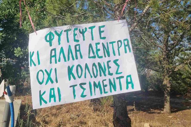 Θυσιάζονται δέντρα για το νέο κτήριο Ασύλου | Philenews Εκδήλωση ...