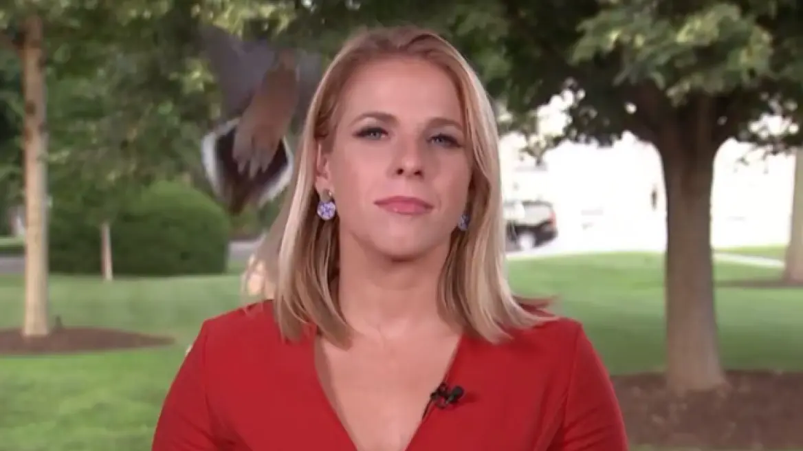 Πουλί προσγειώθηκε στο κεφάλι Αμερικανίδας ρεπόρτερ | Philenews