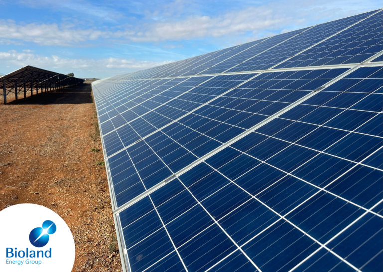 Bioland Energy Group: Στοχεύοντας σε ένα πιο πράσινο μέλλον | Philenews