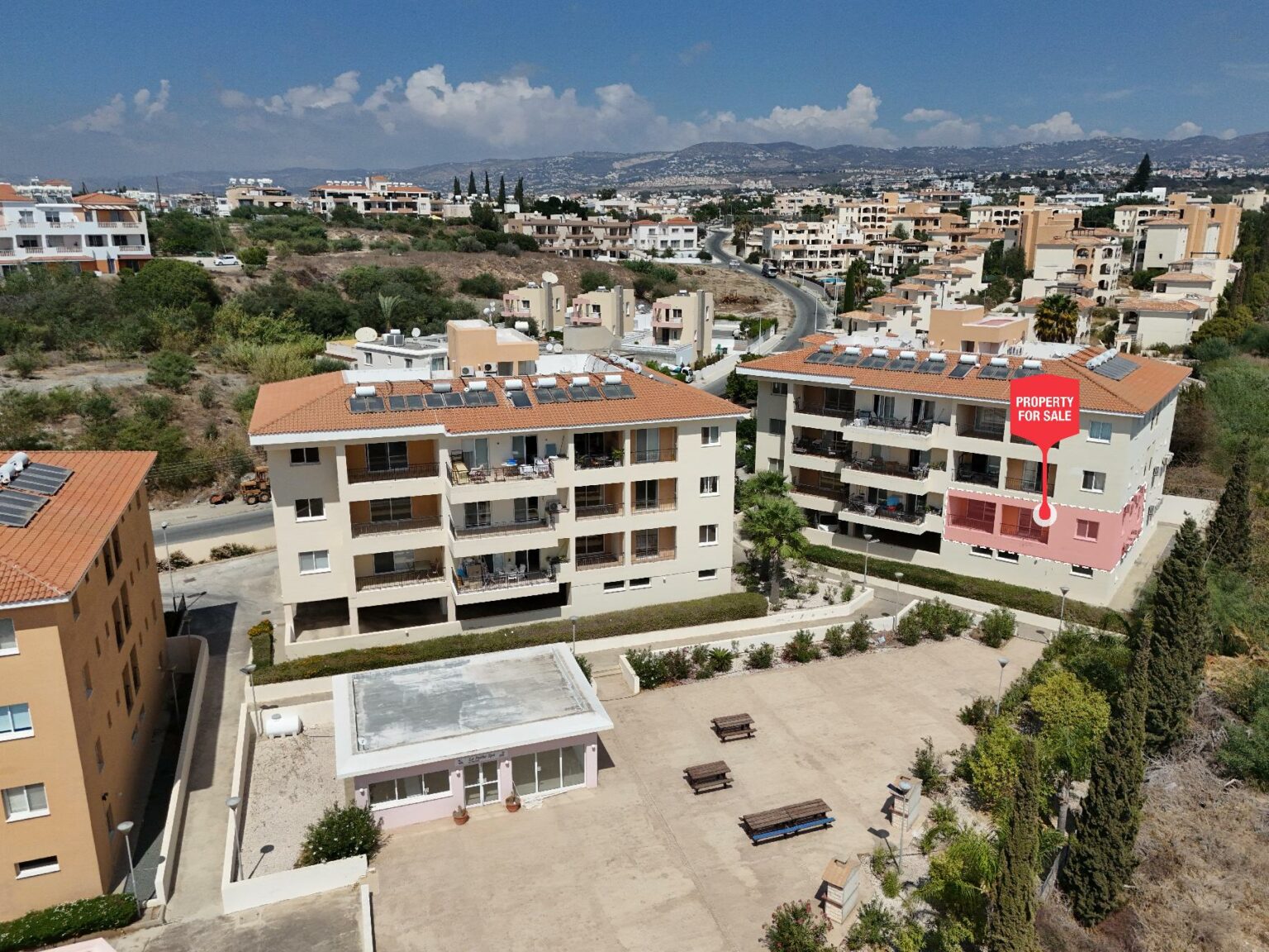 Η ιστορία δύο κουταβιών - Πώς διασώθηκαν από τα σκουπίδια
