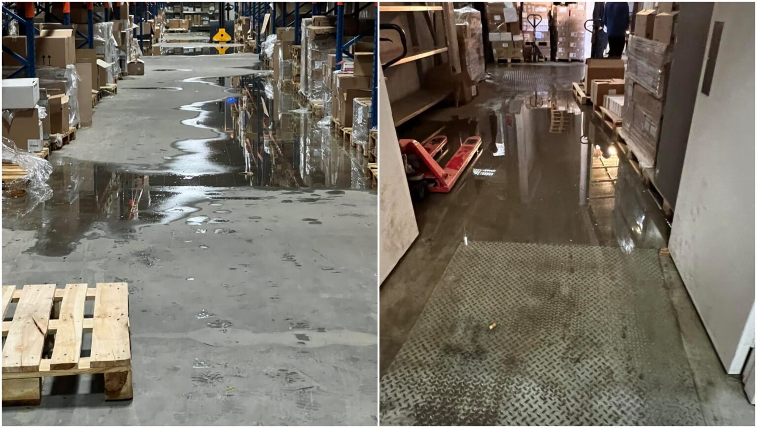 Απόψεις στον Φ - Ειδήσεις | Philenews