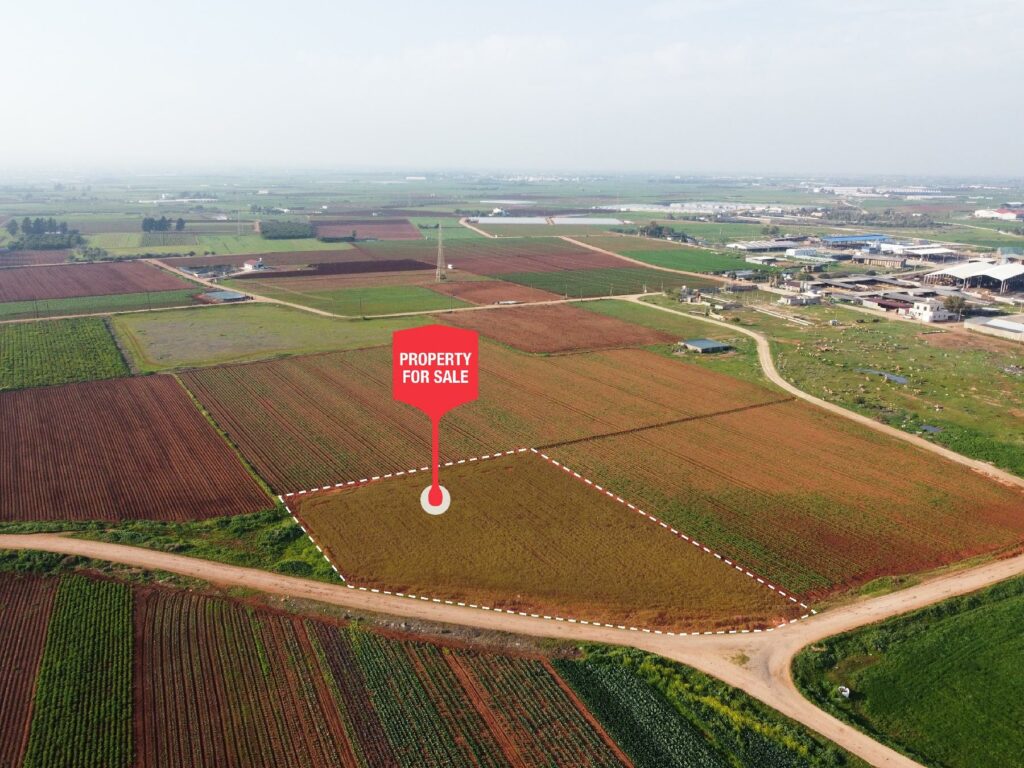 Ειδήσεις - Κύπρος | Philenews