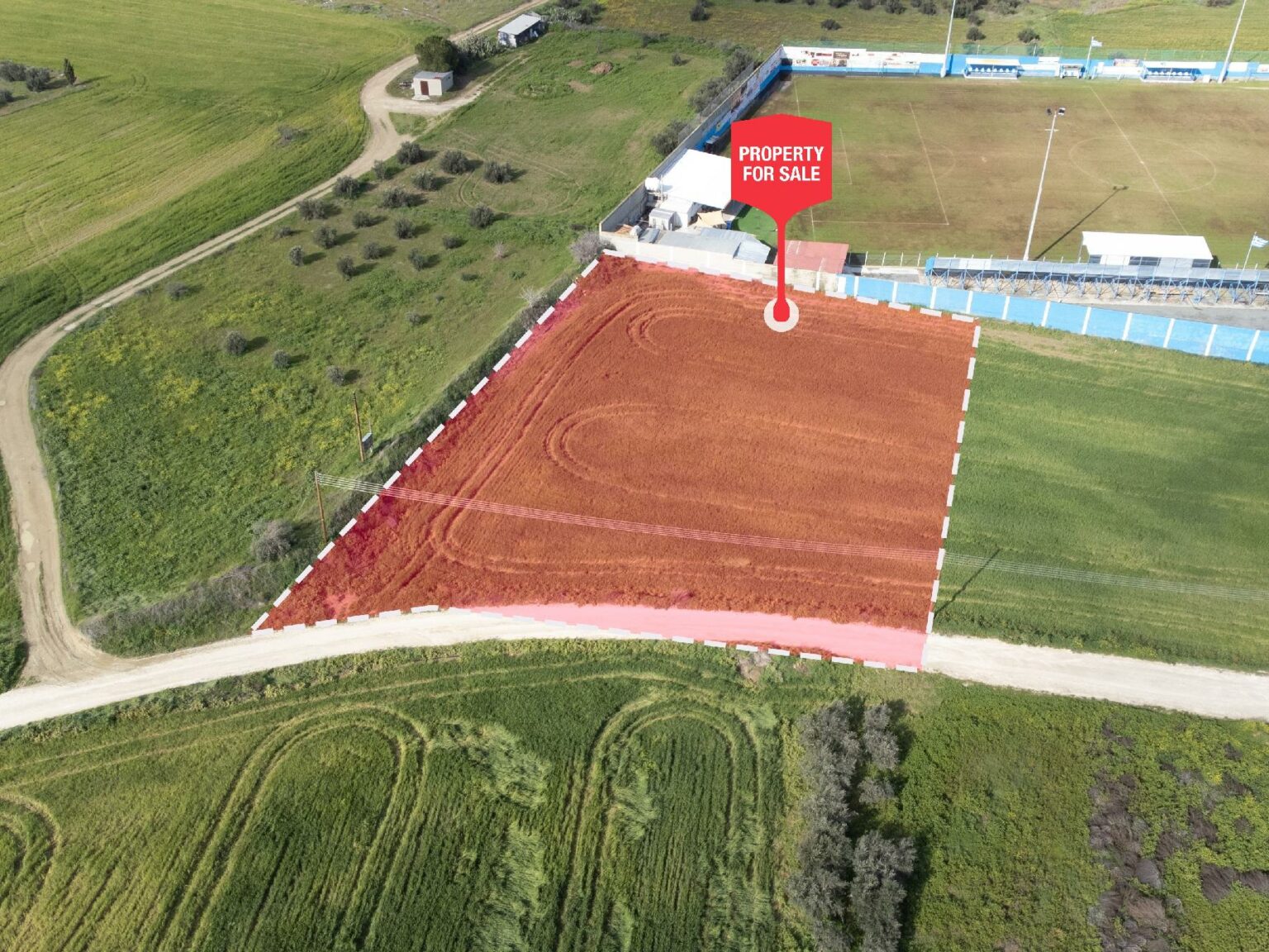 Ειδήσεις - Κύπρος | Philenews