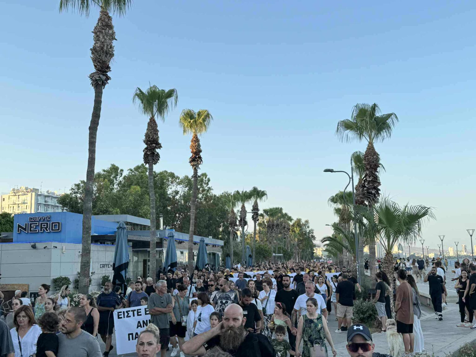 Πυρκαγιές Λεμεσού: Διαμαρτυρία για την καταστροφή