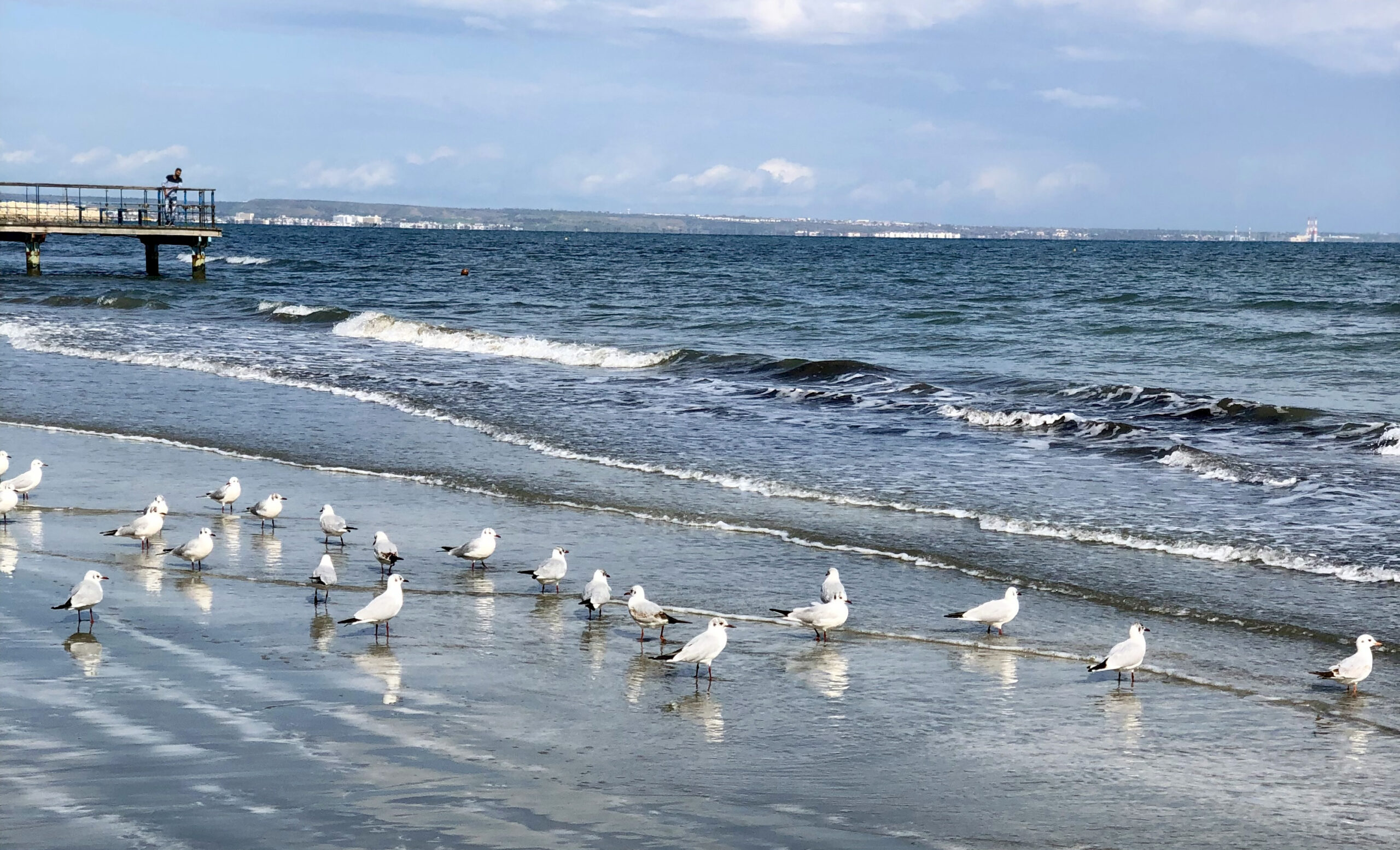 Στις καυτές μέρες του Αυγούστου | Philenews