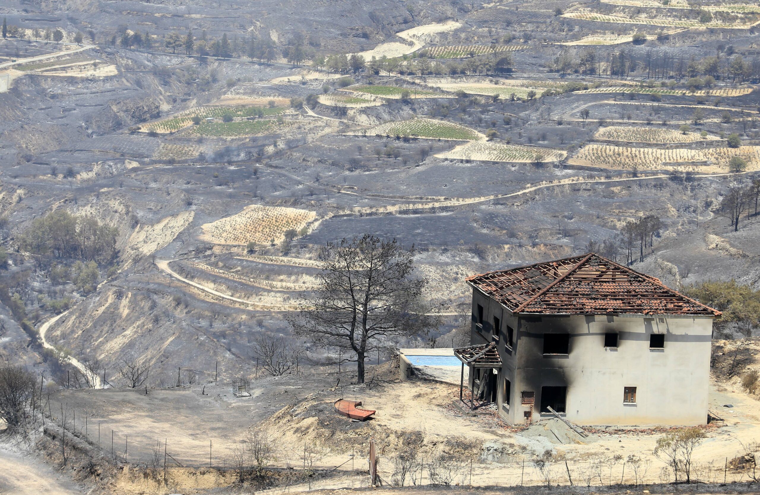Πυρκαγιά - Ανάσα στην απελπισία - 100 εκατ. για στήριξη | Philenews