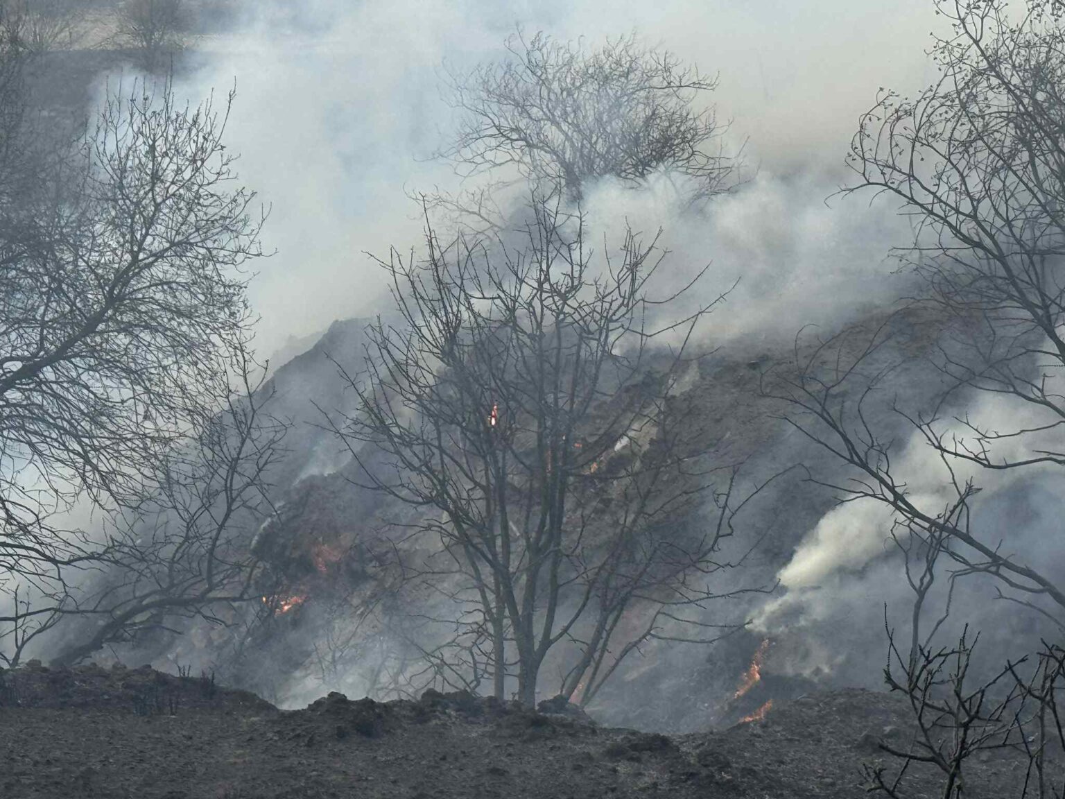 Συναγερμός στην Πάφο: Νέα μεγάλη πυρκαγιά