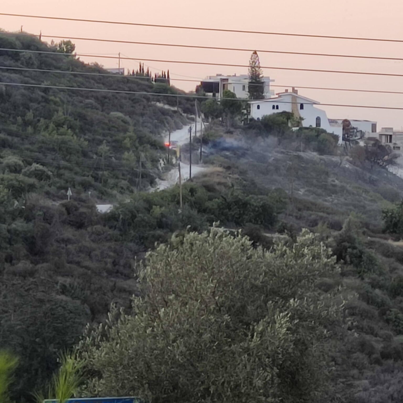 Πυρκαγιά στο ίδιο σημείο της Τάλας (εικόνα & βίντεο)