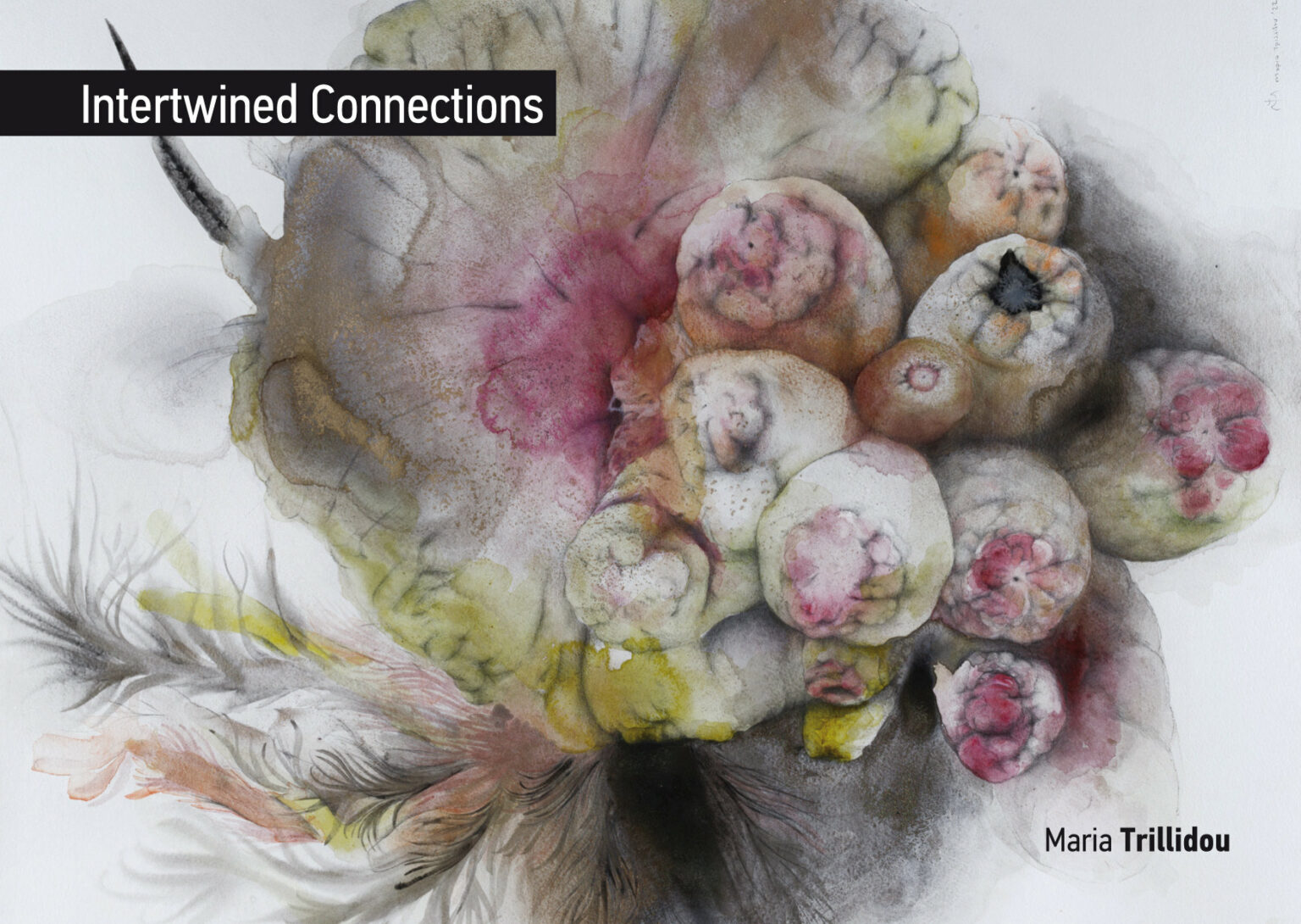 Διαπλεκόμενες Συνδέσεις: Ομαδική έκθεση ταυτόχρονα σε δύο χώρους στη Λευκωσία | Philenews