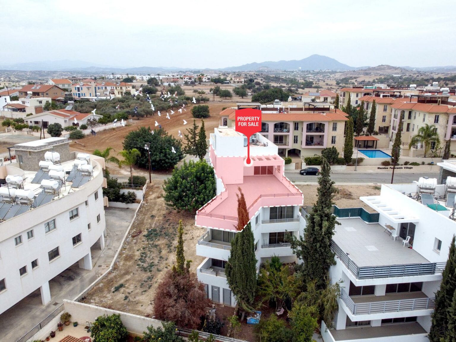 H Lidl Κύπρου εγκαινίασε νέο κατάστημα στον Άγιο Δομέτιο με επένδυση ύψους €11 εκατομμυρίων ...