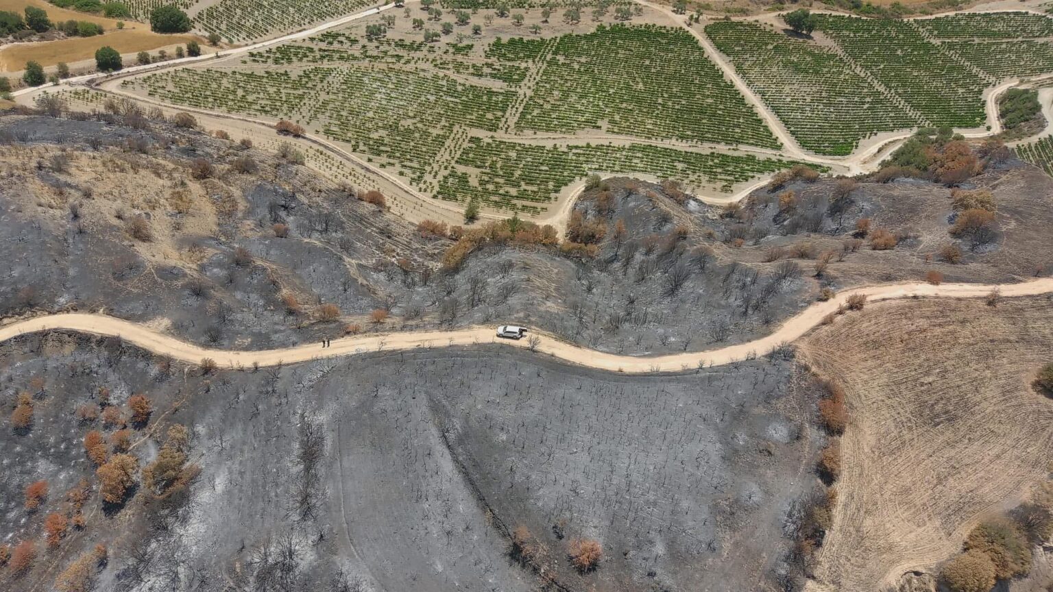 TALA COMMUNITY NEWS: STRATEGIC ACTION PLAN OF THE FORESTRY DEPARTMENT ...